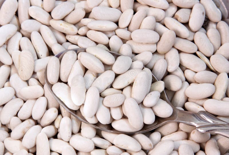 Fagiolo, rene bianco fotografia stock. Immagine di ingredienti - 62813766