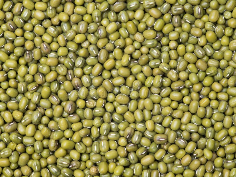 Fagiolo verde fotografia stock. Immagine di sacco, grezzo - 115350562