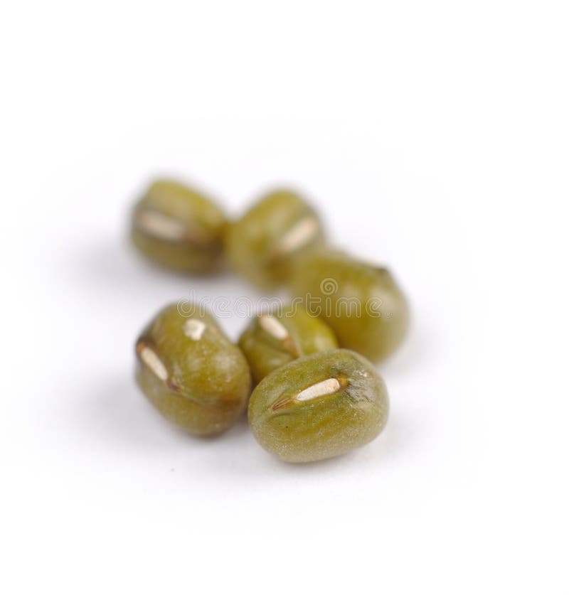 Fagiolo verde immagine stock. Immagine di verde, duro - 9853261