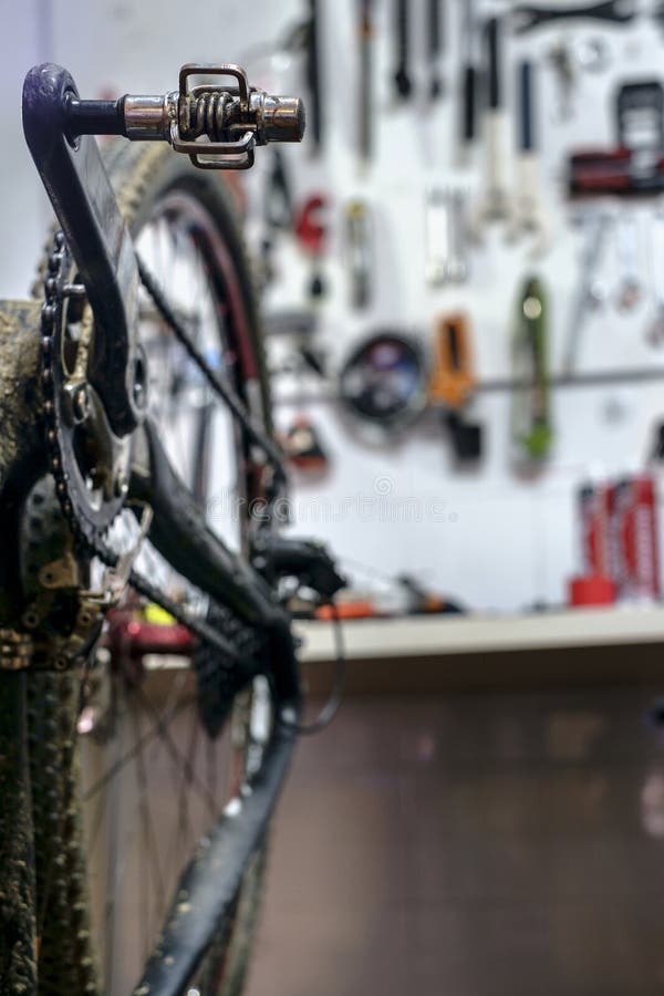 Fahrradwerkstatt stockbild. Bild von handwerker, arbeiter - 48157767