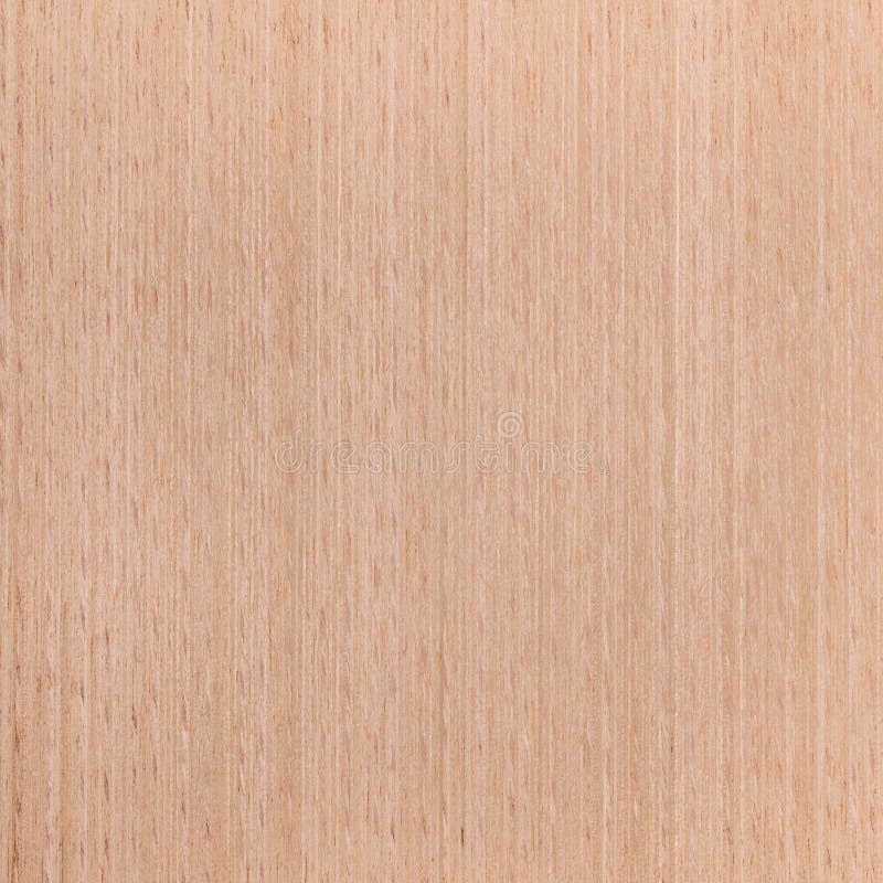 Faia Cor-de-rosa Da Textura, Grão De Madeira Imagem de Stock - Imagem ...