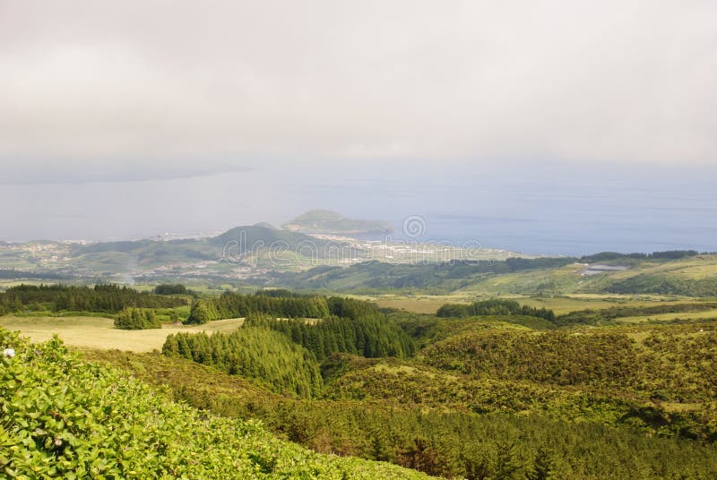 Faial, Azores stock photo. Image of pasture, ocean, plant - 25987656
