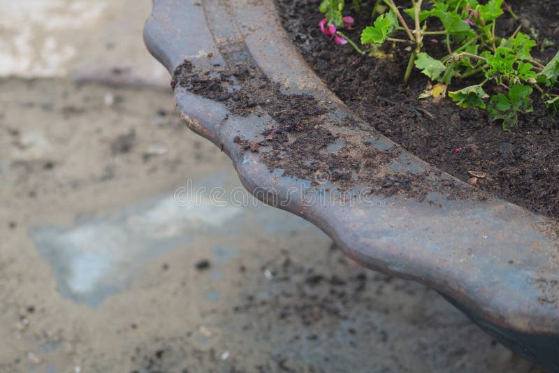 Soil Washing Away Stock Photos - Free & Royalty-Free Stock Photos from ...