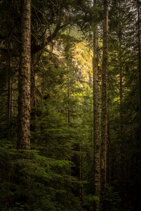 Faint Overhead Light Stock Photos - Free & Royalty-Free Stock Photos ...