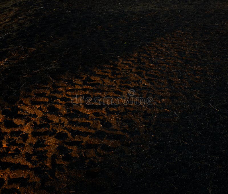 Faint Morning Sun Begins To Light Trail Stock Image - Image of summer ...