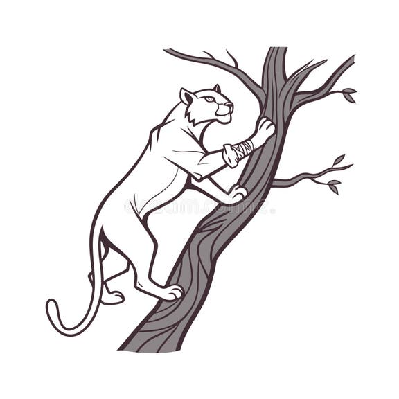 Faint Panther Climbing Gracefully Stock Image - Illustration of ...