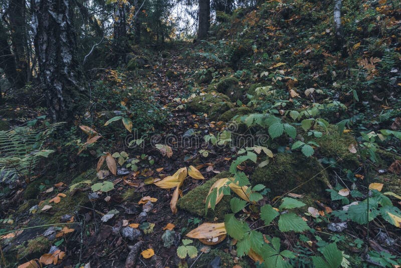 Faint Path Leading Up a Valley Side in Autumn. Stock Photo - Image of ...