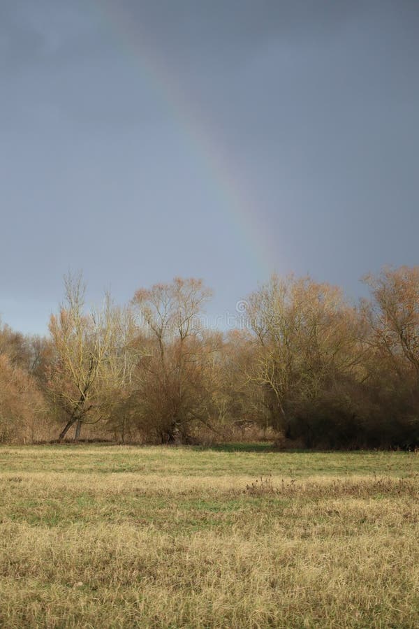 Faint Rainbow stock image. Image of nature, faint, oaks - 302034315