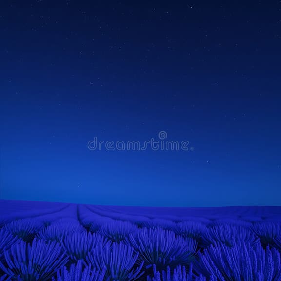 A Faint Starfield with Subtle Gradients of Lavender and Deep Blue Stock ...