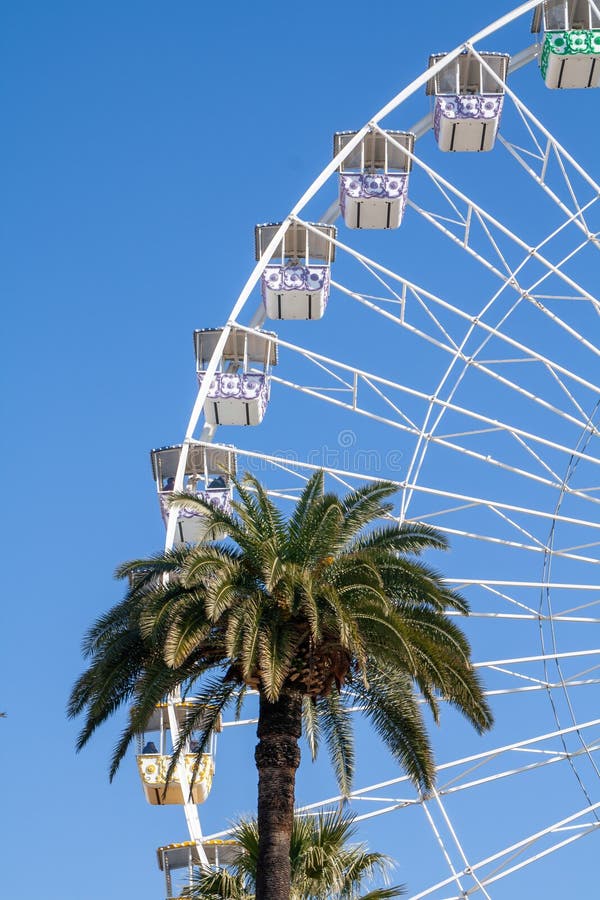 Fair Ferris Wheel Behind a Palm Tree Stock Image - Image of blue ...