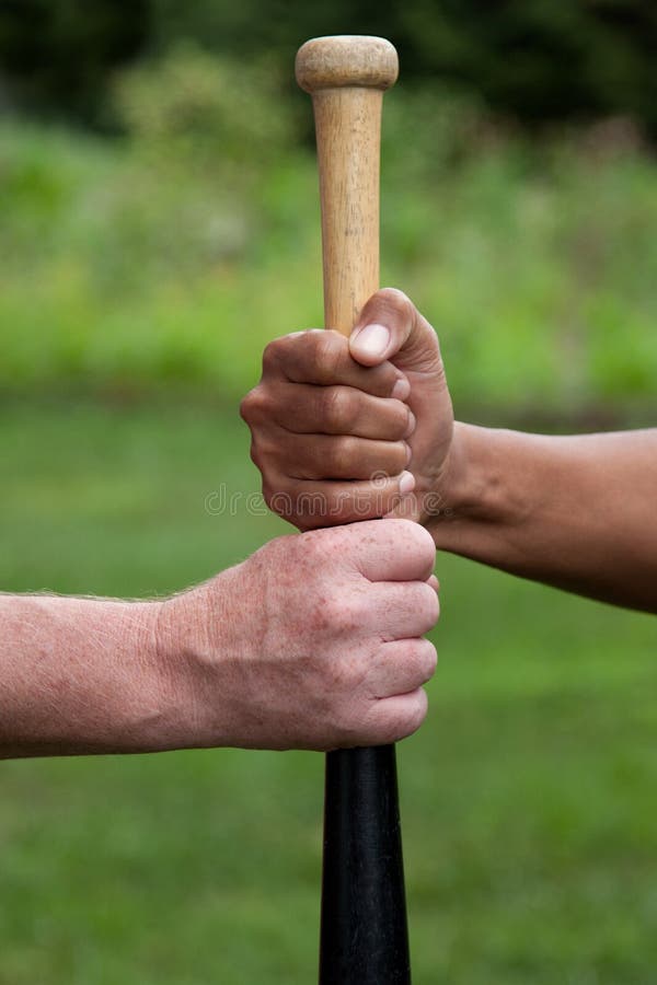 4,045 Bat Image Drfawing Stock Photos - Free & Royalty-Free Stock ...