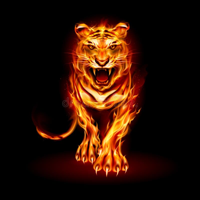 Fire Tiger stock vector. Illustration of aggression - 134430913