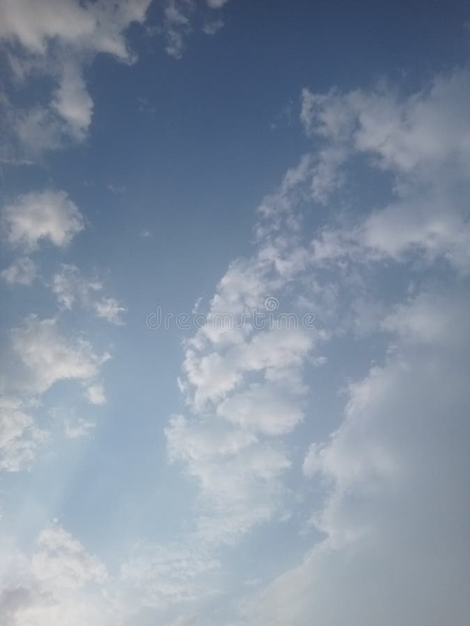 Fair Weather Elm Tree Blooming in Spring Stock Image - Image of fair ...