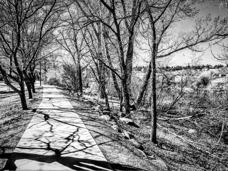 Faire Une Promenade Au Parc Photo stock - Image du printemps, course ...