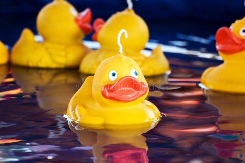 Fairground ducks stock photo. Image of carnival, rubber - 16605058