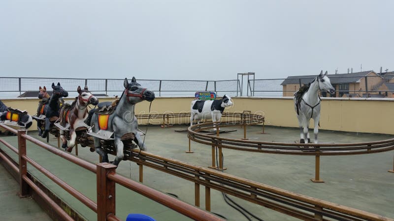 Fairground horse ride editorial photo. Image of irish - 43315956