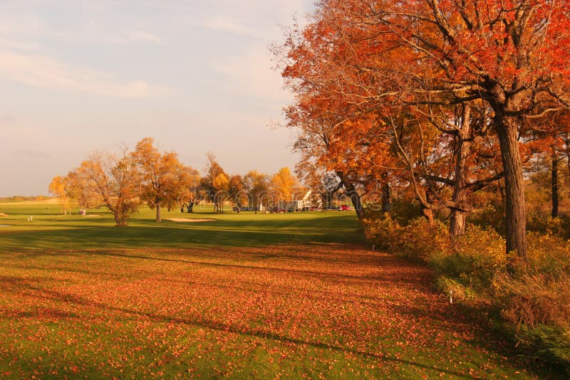 Fairway Fall Colors stock photo. Image of leaves, fall - 1743210