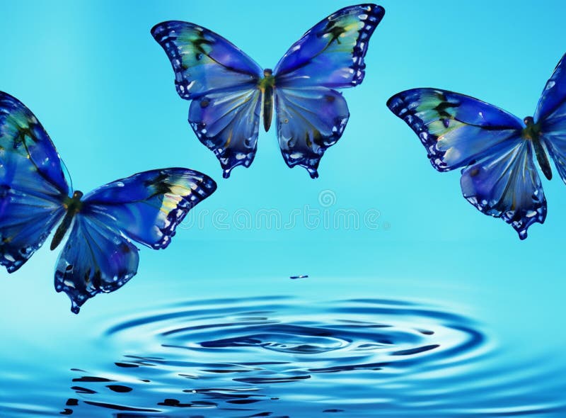 Fairy Blue Butterflies on Water Stock Illustration - Illustration of ...