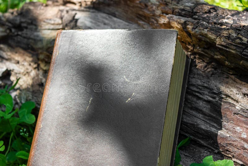 Fairy Book. Magic Book. Mysterious Book. Old Fashioned Book in the ...