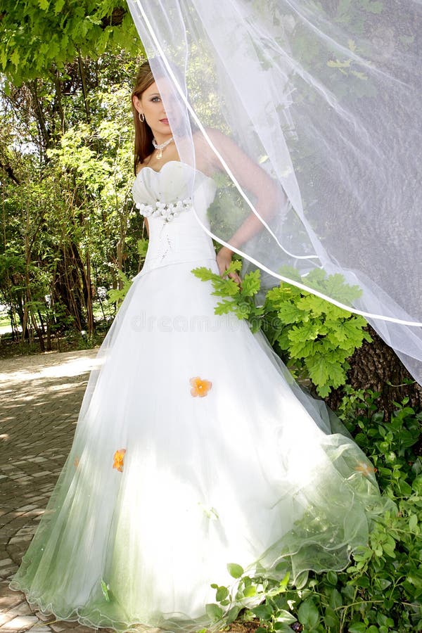 Fairy Bride stock image. Image of standing, designer, stand - 4884133