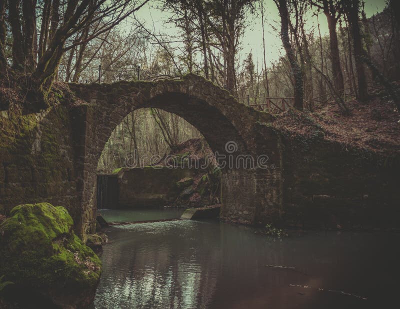 Fairy Bridge stock photo. Image of forest, wood, fairy - 111051124