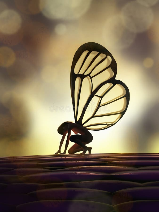 Fairy butterfly stock illustration. Illustration of fragile - 27163030