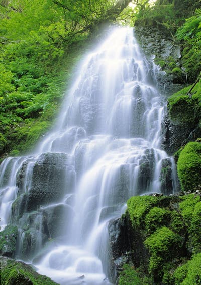 Fairy Falls stock photo. Image of outdoors, falls, oregon - 57134