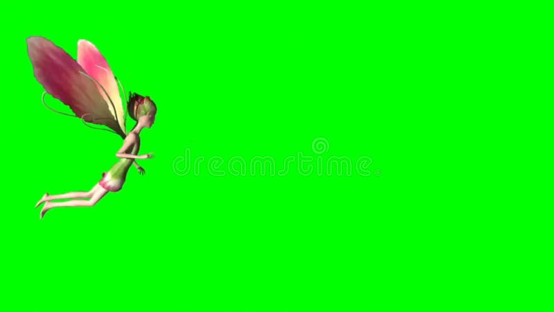Fairy Flying on Green Screen Stock Video - Video of bright, star: 268477377