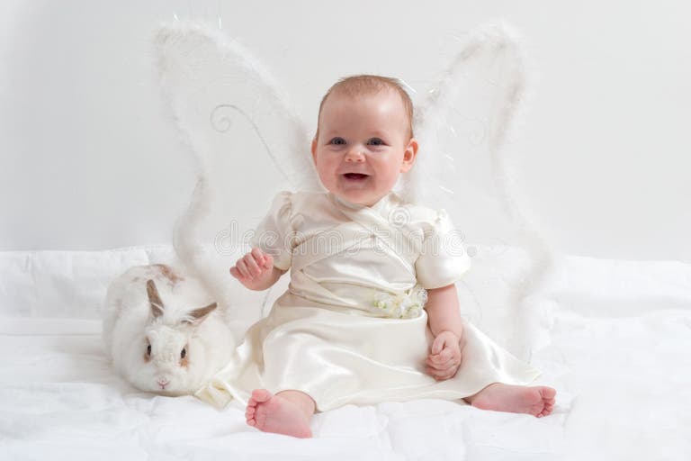 1,062 Rabbit Wings Stock Photos - Free & Royalty-Free Stock Photos from ...