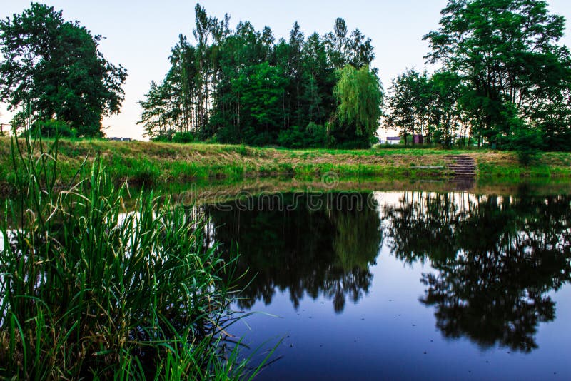 Fairy-tale Lake in the Forest. Background. Nature Stock Image - Image ...