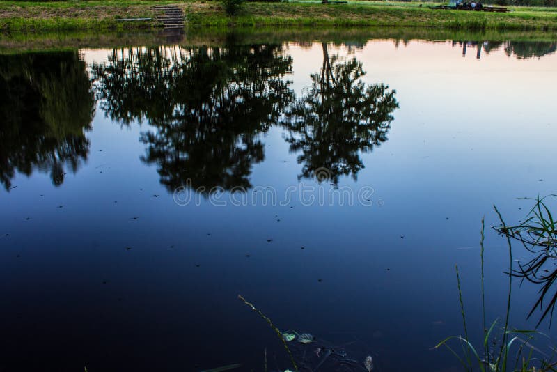 A Fairy-tale Lake in the Forest, the Trees are Reflected in the Water ...