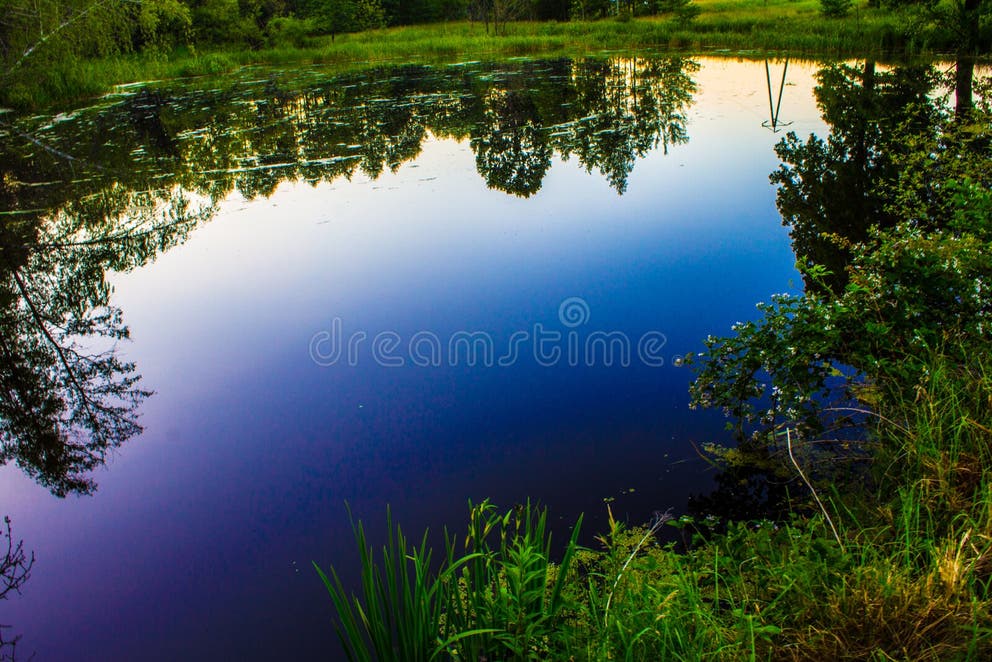 A Fairy-tale Lake in the Forest, the Trees are Reflected in the Water ...