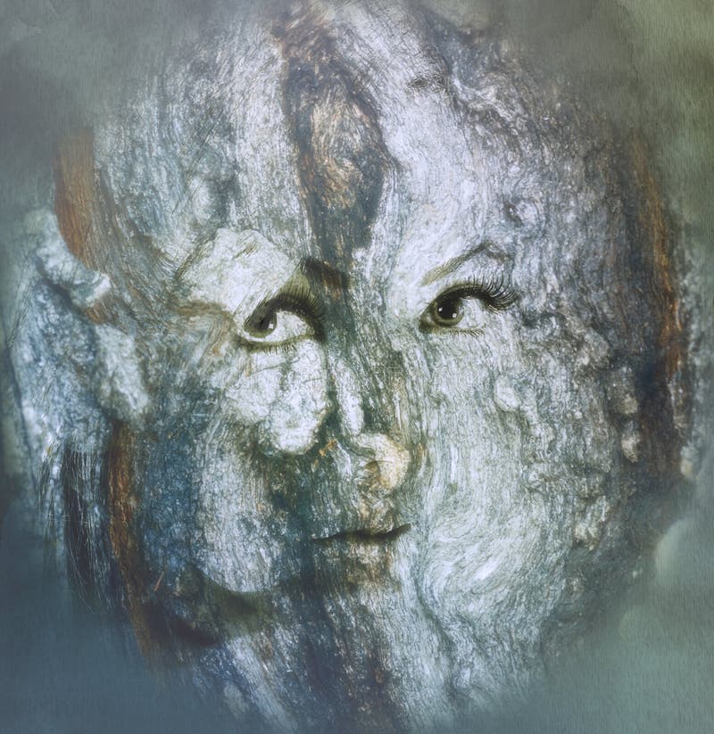 Fairy in the Tree Burl stock illustration. Illustration of aspen ...