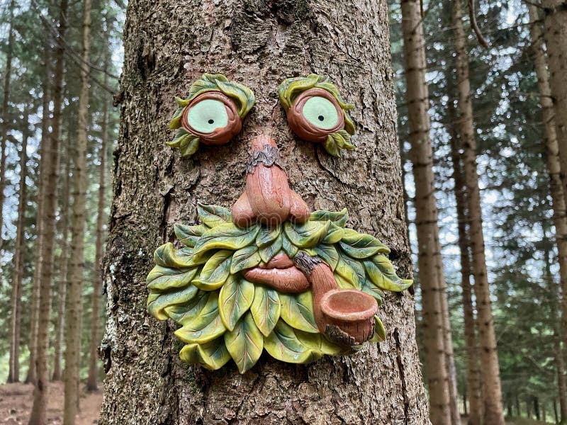 Fairytale Tree, Tree Face, in the Woods. Stock Photo - Image of ...