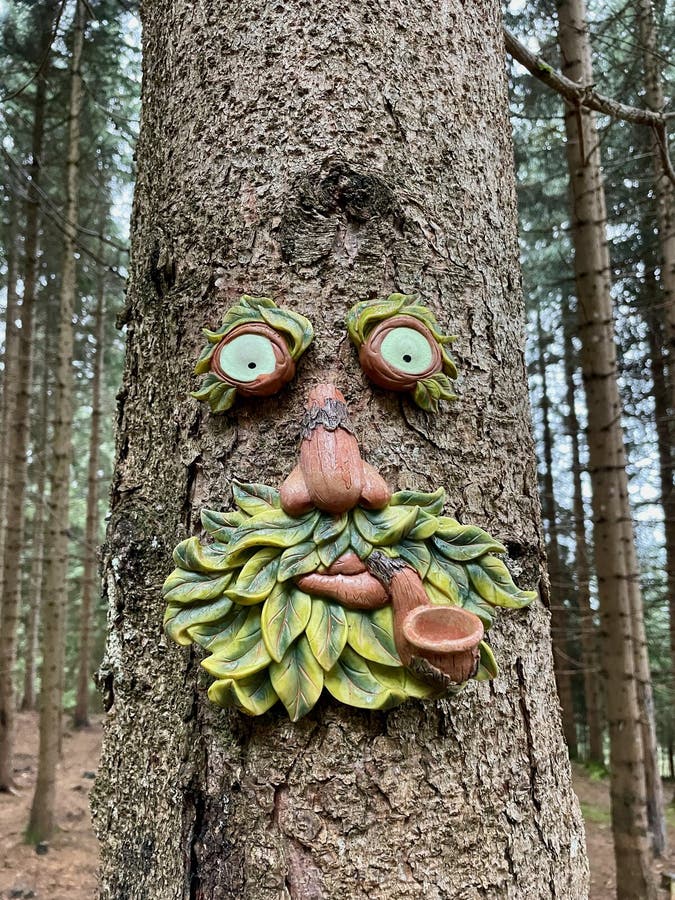 The tree with the face stock photo. Image of nature, tree - 93547202