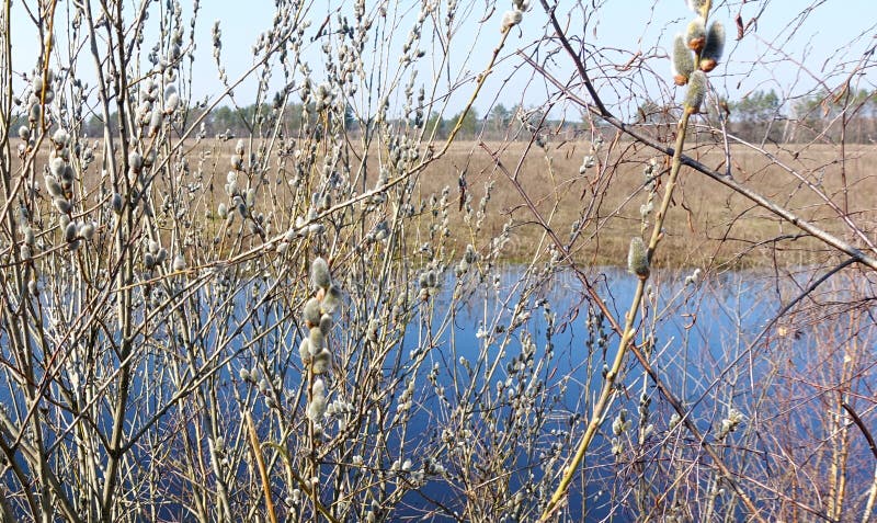 Faith Over the Lake on a Spring Day Stock Image - Image of green, lake ...