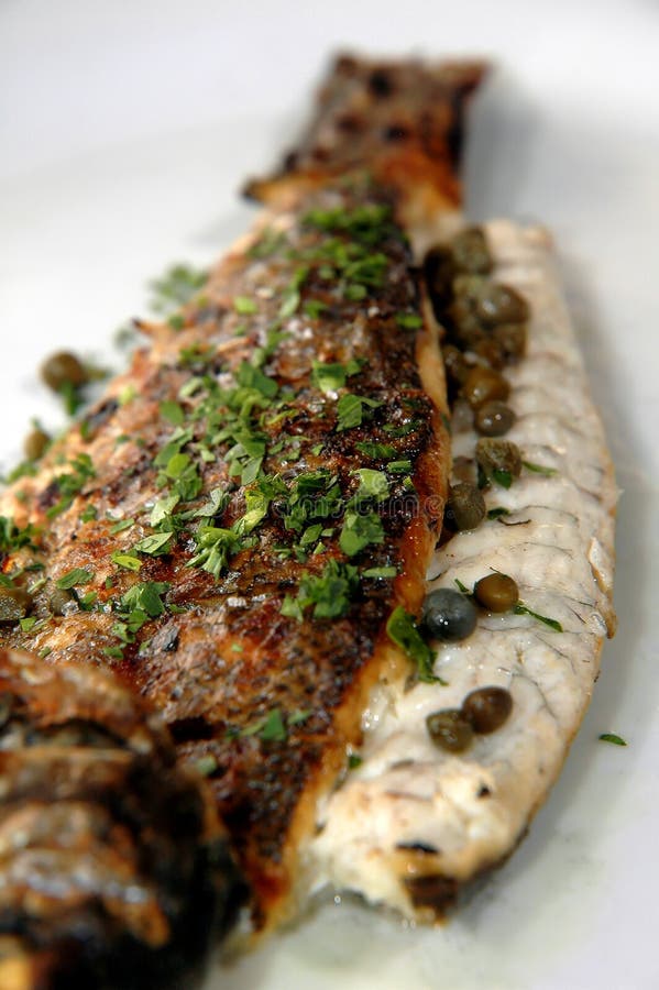 Faixa de Lavraki imagem de stock. Imagem de marisco, grelhado - 4770747