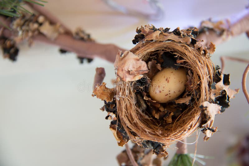 Fake bird s nest. stock photo. Image of twigs, leafs - 74233240