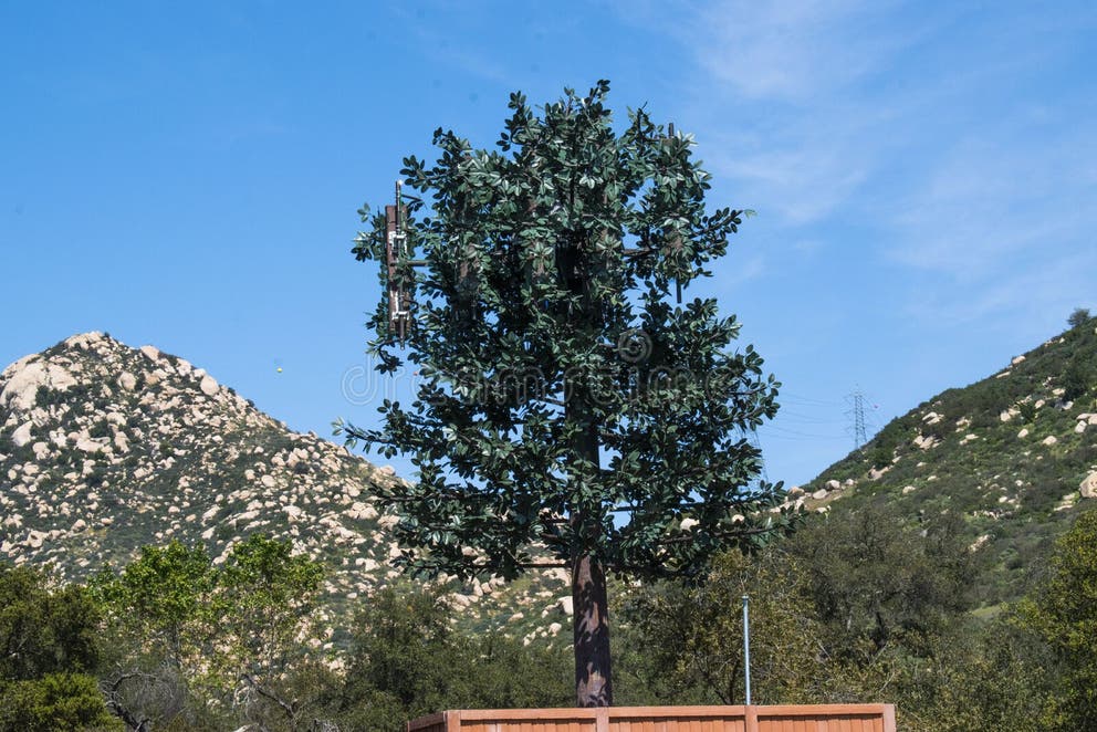 Fake cell tower stock photo. Image of desert, used, landscape - 144151438