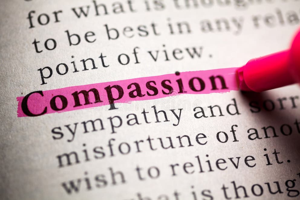 Compassion stock photo. Image of closeup, highlight - 178237268