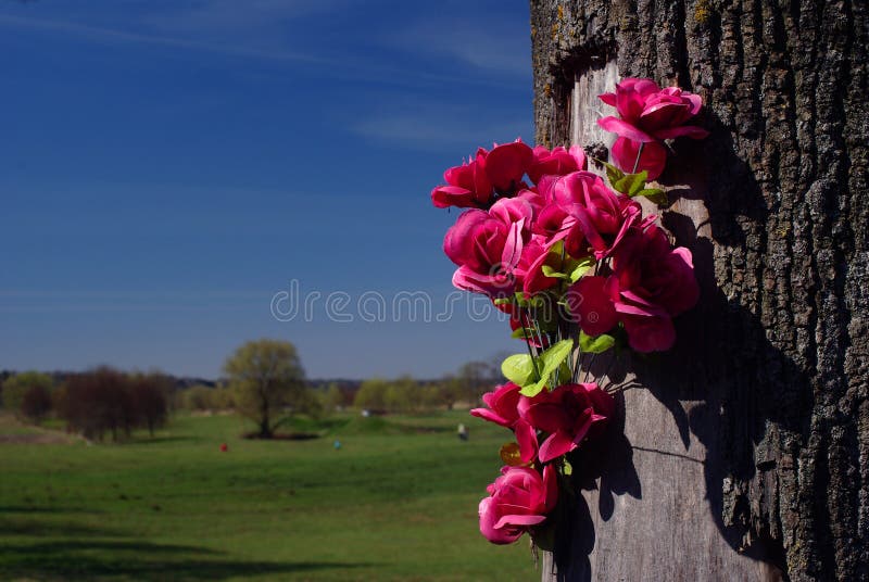 Fake Flowers on Broken Tree Stock Photo - Image of roses, green: 9196564