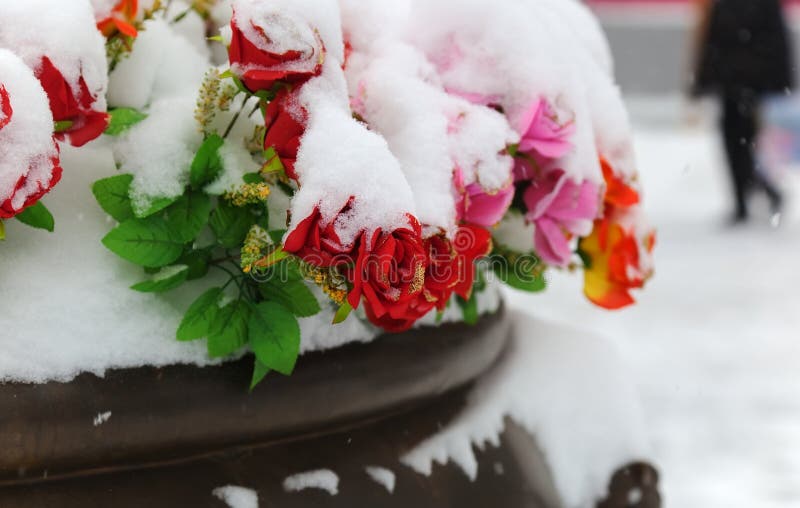 18+ China fake Free Stock Photos - StockFreeImages