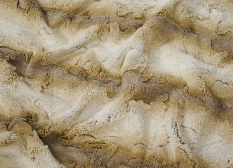 Animal Hyde Texture Stock Photos - Free & Royalty-Free Stock Photos ...