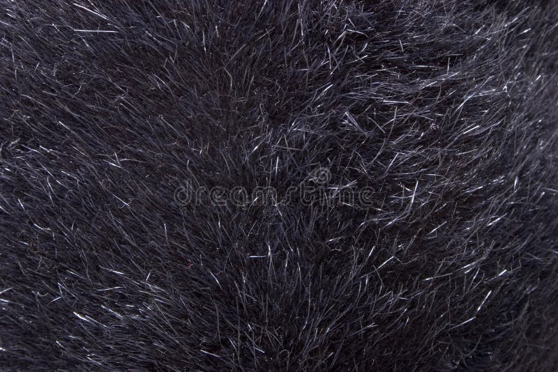 Pig hair (Texture) stock image. Image of quadrupede, mammal - 23540881