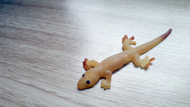 Fake Lizard Which is Made of Clear Silicone Rubber. Stock Photo - Image ...