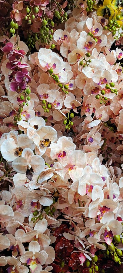 Fake Many Flower in the Wall Stock Image - Image of fake, decoration ...