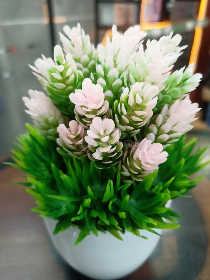 Fake Plastic Small Mini Tree Stock Photos - Free & Royalty-Free Stock ...