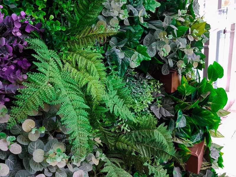 Fake Plastic Tree Variety Place on Multi-level Decoration Stock Photo ...