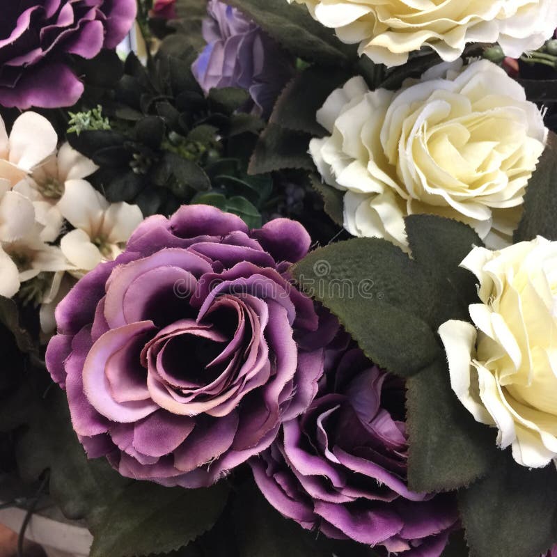 Rose Fake Flower on White Background, Soft Focus Stock Photo - Image of ...