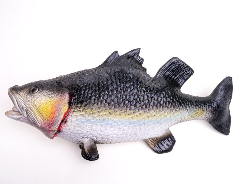 Fake Rubber Bass Fish stock photo. Image of catch, jokes - 24593558